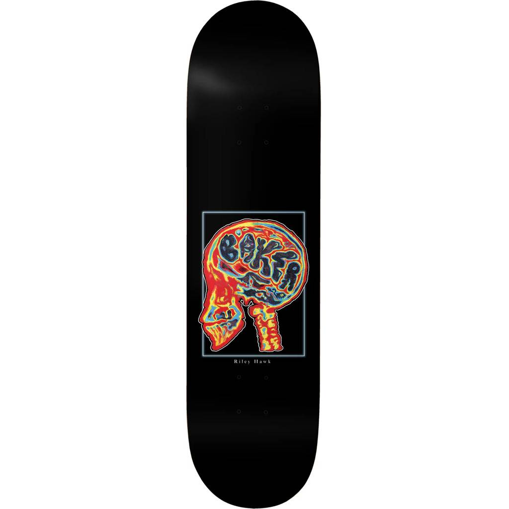 Baker Hawk Brain Donor Deck - 8.5 – Ninetimes Skateshop